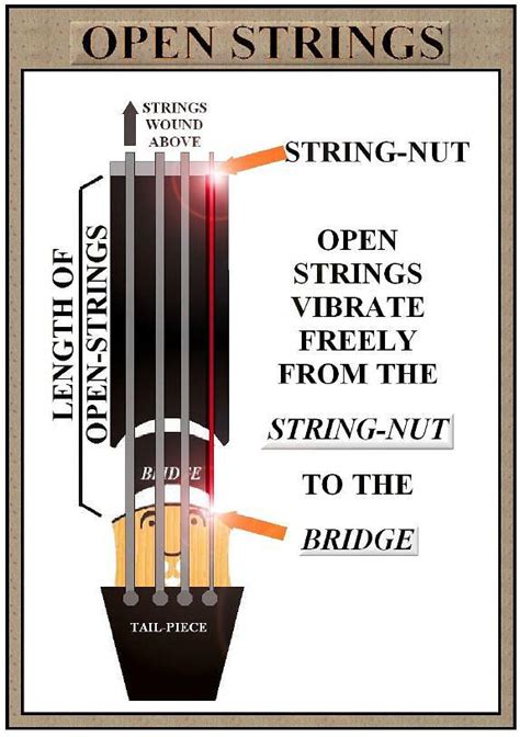 SCIENCE PRINCIPLES StringQuest