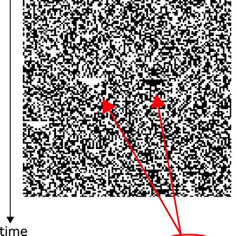 Characteristic Triangular Patterns In A Segment Of A Spatio Temporal