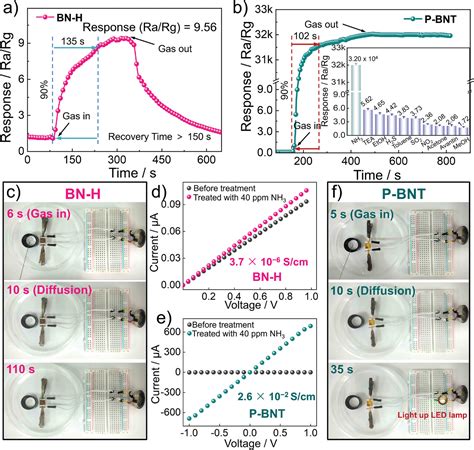 High‐performance Room Temperature Ammonia Sensors Based On Pure Organic
