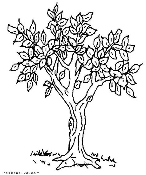 Раскраски Дерево Весной Для Детей 68 фото