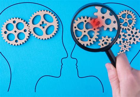 Biological Sex Influences Brain Protein Expression The Scientist