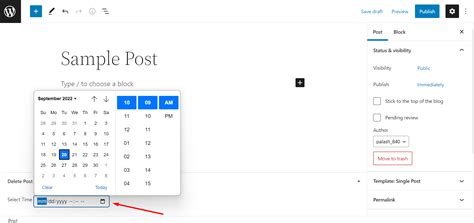Auto Delete Post Ultimate Plugin For Deleting A Post Automatically