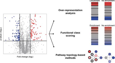 Figure 1 From Comprehensive Overview Of Bottom Up Proteomics Using Mass