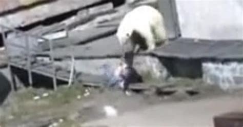 G1 Vídeo Mostra Mulher Sendo Atacada Por Urso Polar Na Rússia
