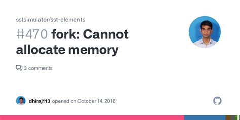 Fork Cannot Allocate Memory Issue Sstsimulator Sst Elements GitHub