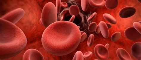 Iv Fluid Osmolarity What To Know For Iv Catheter Selection Bd Iv News