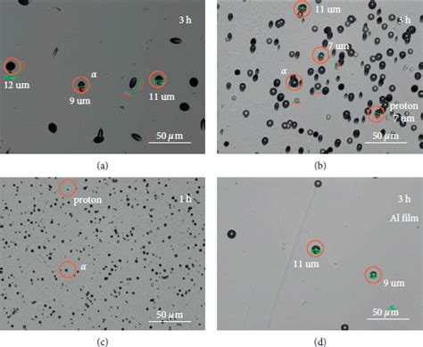 Cross Section Measurements Of The 11bpα2α Reaction Near The First Resonant Energy Laser And