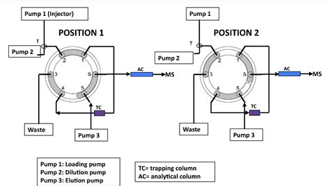 Figure From Multidimensional LC MS MS Enables Simultaneous Quantification Of Intact Human