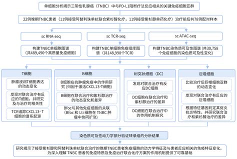 研究进展 当乳腺癌遇上单细胞测序技术（下） 知乎