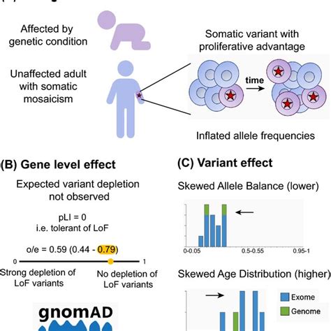 Clonal Hematopoiesis Effect On Population Data A Pathogenic Variants