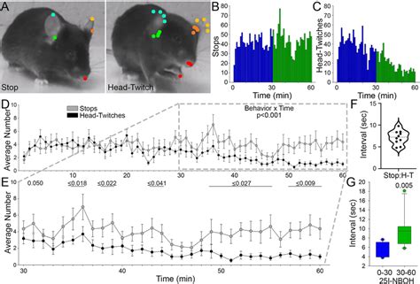 Behavioral Arrest Consistently Precedes The Head Twitch Response Download Scientific Diagram