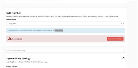 Twilio Verification Statuses Reference Gingr