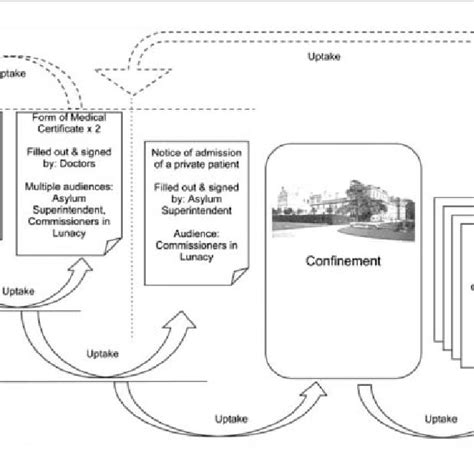The Bidirectionality Of Uptake Download Scientific Diagram