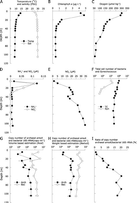 Vertical Profile Of Ammonia Oxidizing Archaea Determined By The Download Scientific Diagram