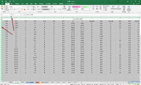 excel怎么设置行高和列宽 excel表格中设置行高和列宽的方法教程 极光下载站