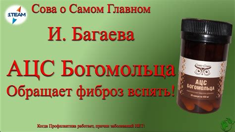 АЦС Богомольца. Продукция компании Экокорпорация Сово-Сова. Состав. И ...
