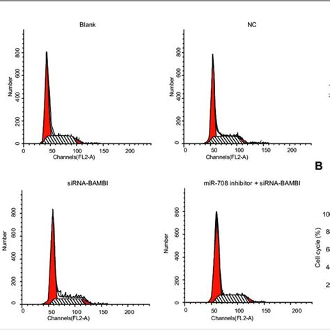 Cell Cycle Distribution A And Cell Cycle B Of Melanoma Cell In Download Scientific