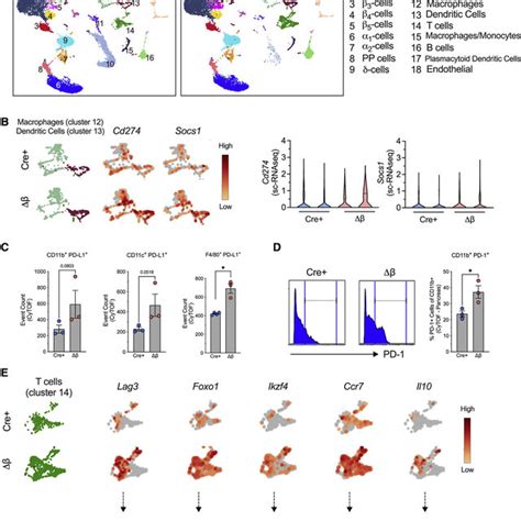 Single Cell Rna Sequencing Analysis Of Islets And Cytof Of Pancreas In