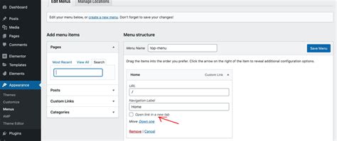 how to make specific wordpress menu open in a new tab or window