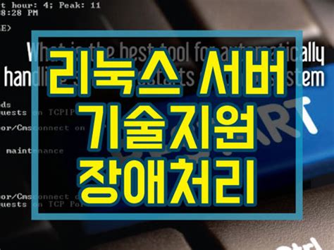 리눅스 서버장애 처리 서버구축 리눅스 서버관리 원격 기술지원 [프로그램개발 db 서버 재능 제작 의뢰]