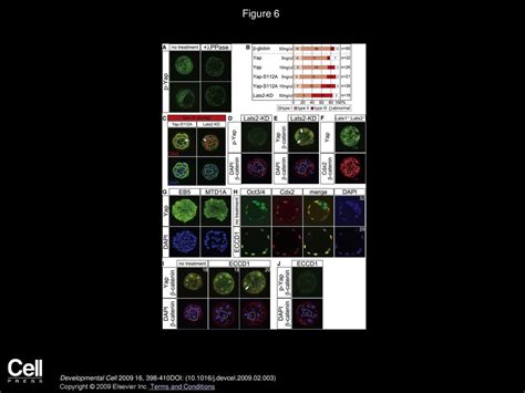Volume Issue Pages March Ppt Download
