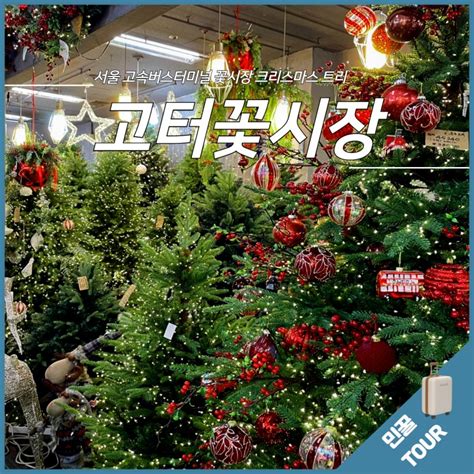 서울 고터꽃시장 크리스마스트리 위치 및 영업시간 네이버 블로그