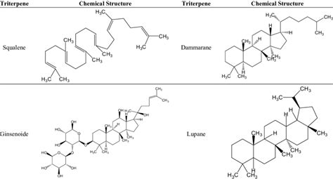 Triterpene Structure