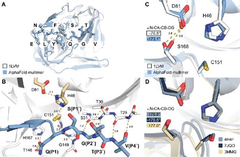 Features Of A Tevp Enzyme−substrate Model Constructed By Download Scientific Diagram