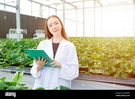 Scientist Working Collect Data Record Tracking Plant Grow Data For