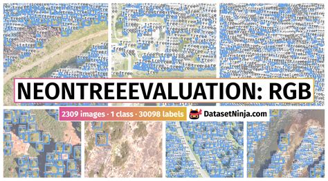 Neontreeevaluation Rgb Dataset Ninja
