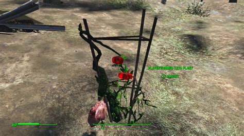 Aaf Rse Ii Advanced Needs Settlement Solutions 070219 Other Loverslab