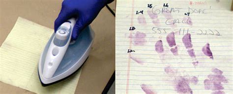 304 Visualizing And Retrieving Fingerprints