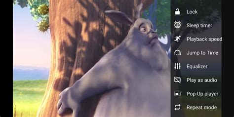 Top 5 MPG MPEG Player Apps For Windows Mac IOS Android 2025