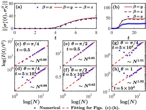 numerical calculation of the operator diffusion in a the ci model b