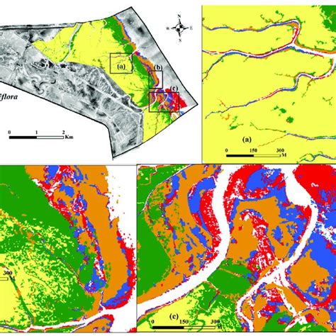 A C Spatial Expansion Dynamics Of S Alterniflora On Seaward Side Download Scientific Diagram