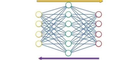 Basic Structure Of Contractive Autoencoder Download Scientific Diagram