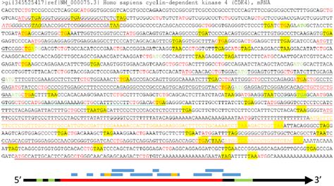 Illustration Of Multiple Orfs In A Given Mrna Top Panel In The Wt