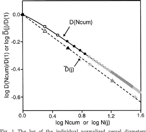 Figure 1 From Branching Exponent Heterogeneity And Wall Shear Stress Distribution In Vascular