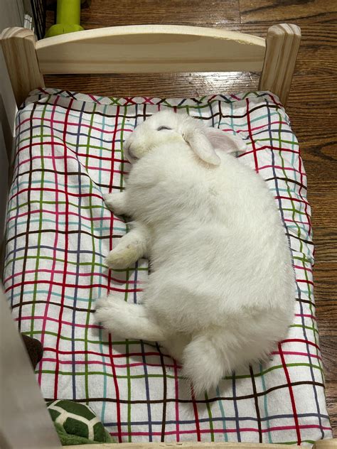 Ruby Loves Her Little Beds Rrabbits