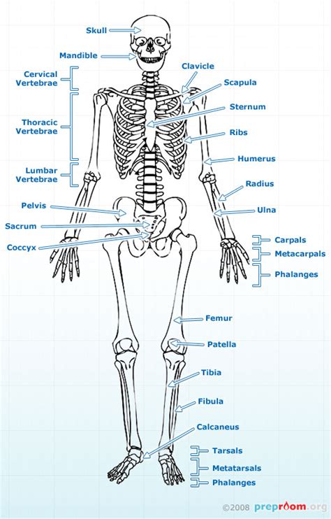 Info Library 100s Of Pages Of Useful Science Education Information