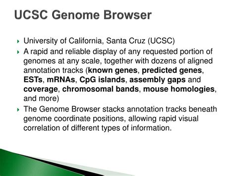 Ppt The Ucsc Genome Browser Powerpoint Presentation Free Download