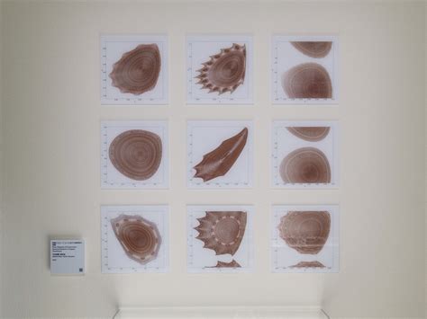 Icc │ Phase Diagrams Of Conservative Dynamical Systems In Origami Tessellations” 2023