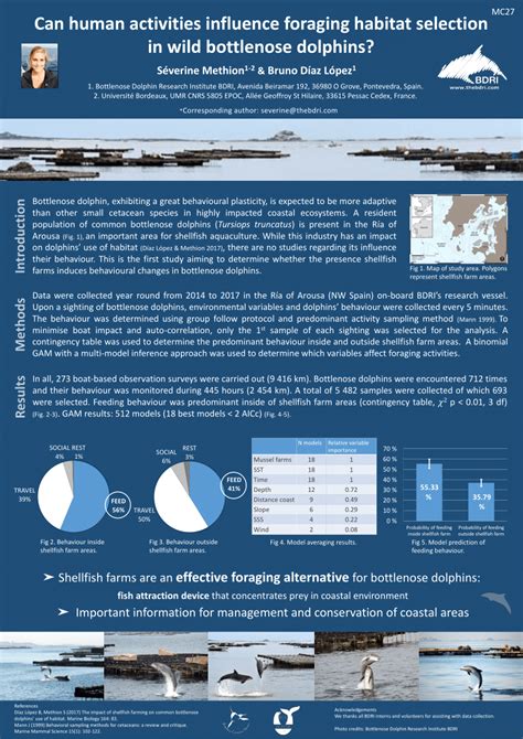 Pdf Can Human Activities Influence Foraging Habitat Selection In Wild Bottlenose Dolphins