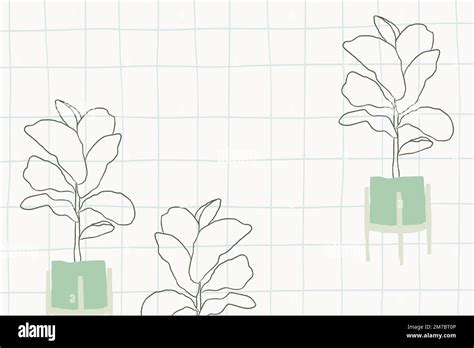 Fiddle Leaf Fig Doodle Vector In Grid Background Stock Vector Image