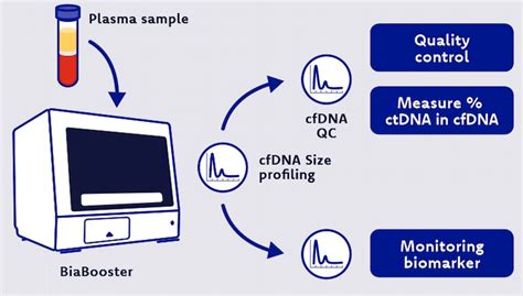 Cfdna Sample Analysis Workflow For Precision Oncology Adelis