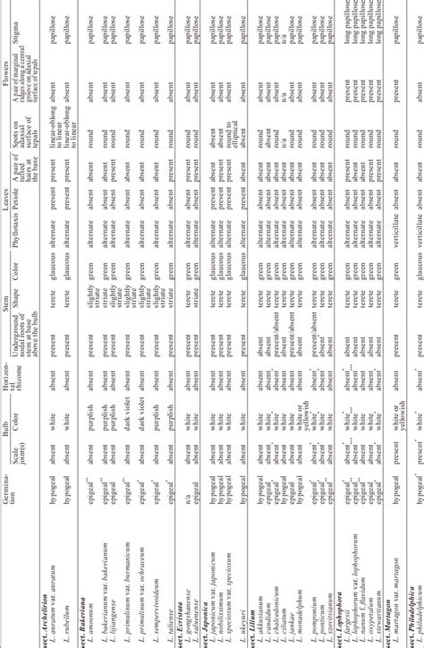 Morphological Characters And Character States Of Taxa Of Lilium Based