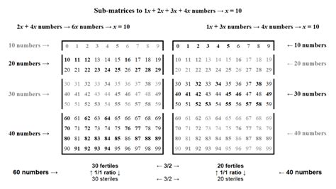 Differentiation Of The 4 Sub Matrices Of 1x 2x 3x And 4x Entities