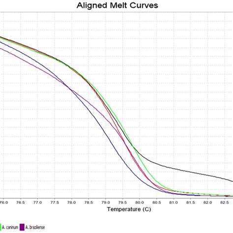 Representative Profiles Of The Melting Curves Derivative Melt Curves Download Scientific