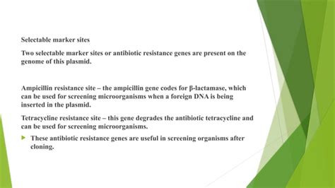 Pbr 322 Plasmid Microbial Biotechnology Pptx Biotech And Biomedical Industry Industries