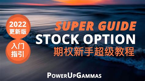 详细，专业，全面的股票期权新手入门超级教程 2022年更新版 stock option ultimate guide for beginners youtube